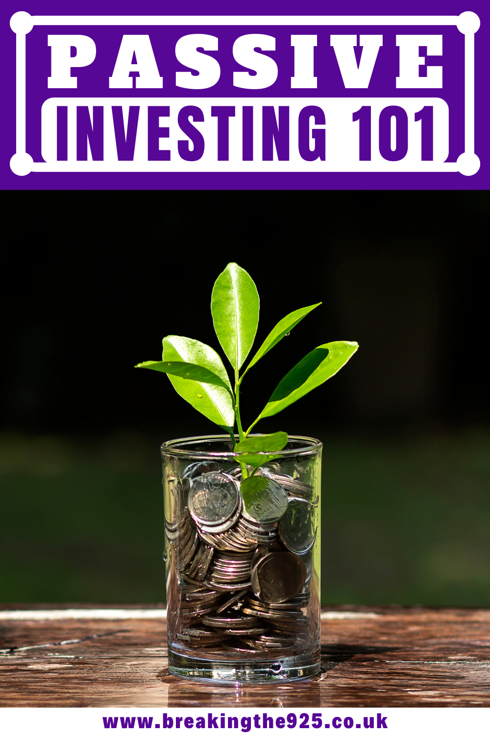 Passive Investing 101 – The Basics - Breaking The 9 2 5